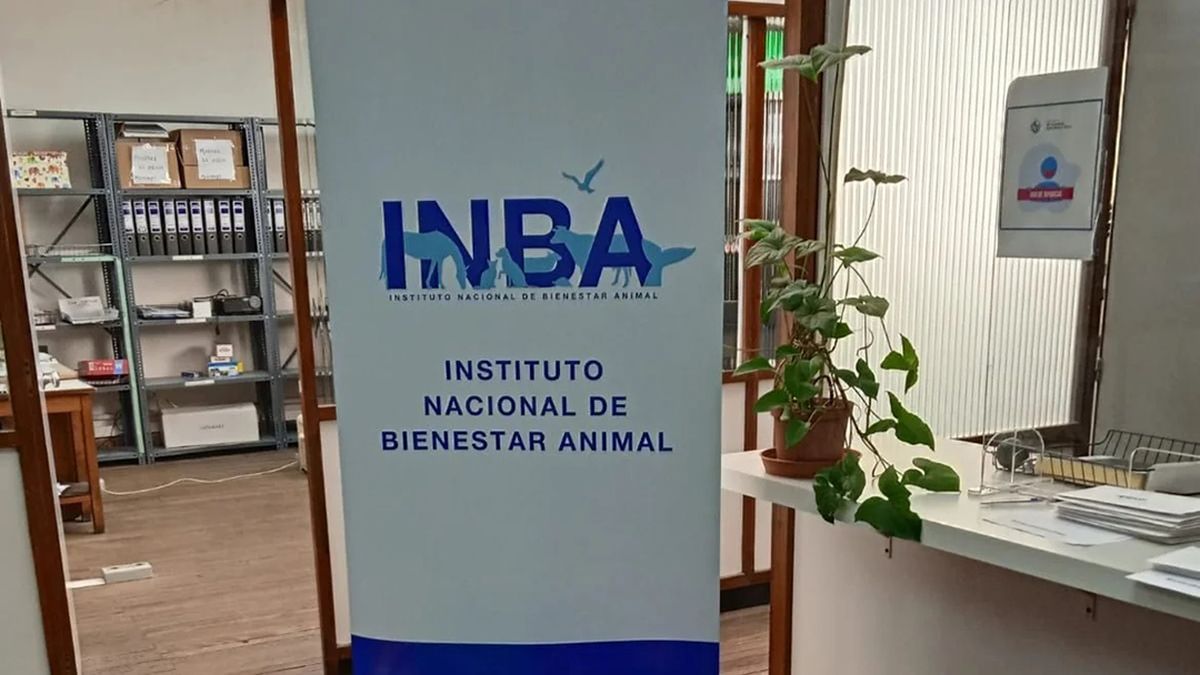 INBA rechaza acusaciones del sindicato de funcionarios del MGAP