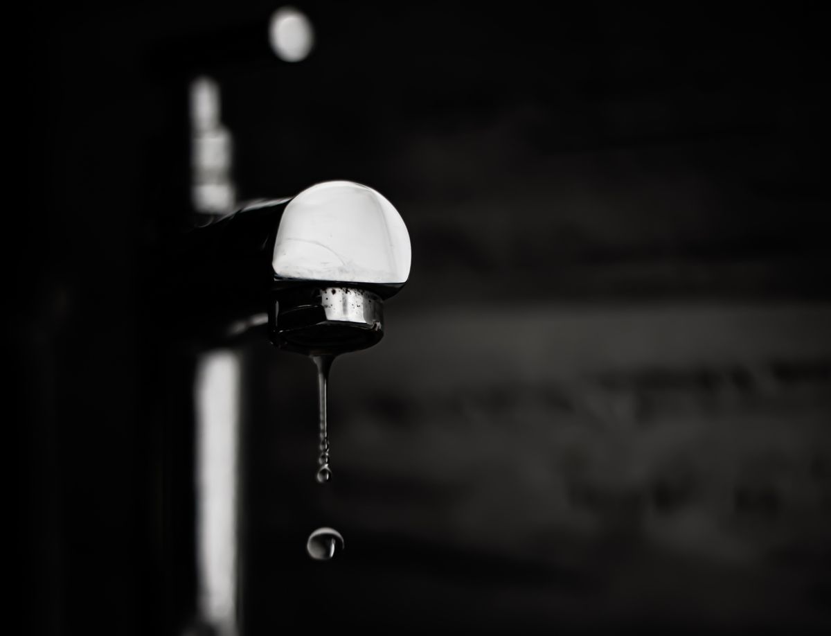 María Selva Ortiz: Debería declararse también emergencia sanitaria