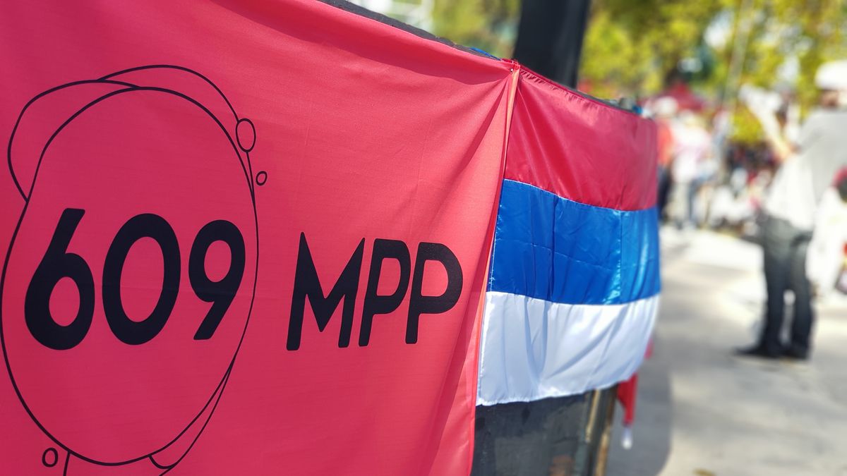 El rol del MPP, las urnas y una analista tuerta