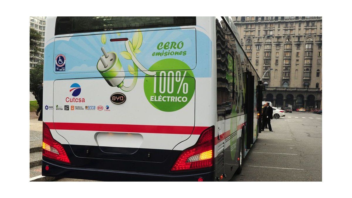 Para usuarios del área metropolitana: CUTCSA incorporará 59 buses ...