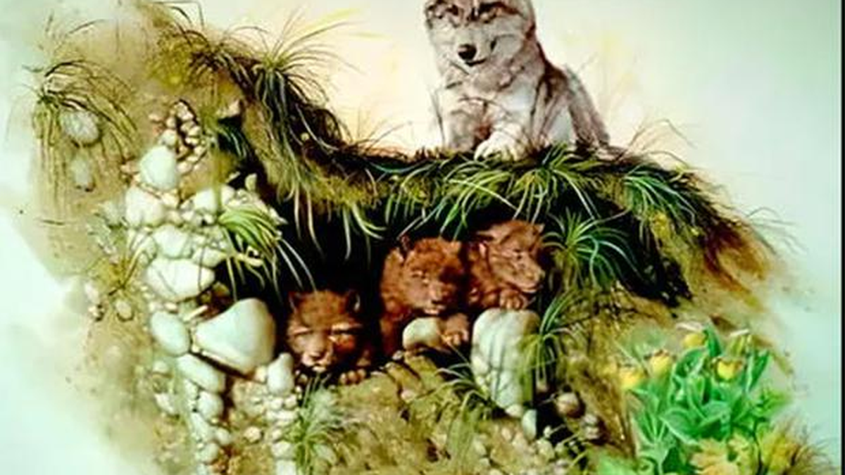 Test de personalidad: ¿eres una persona rencorosa?