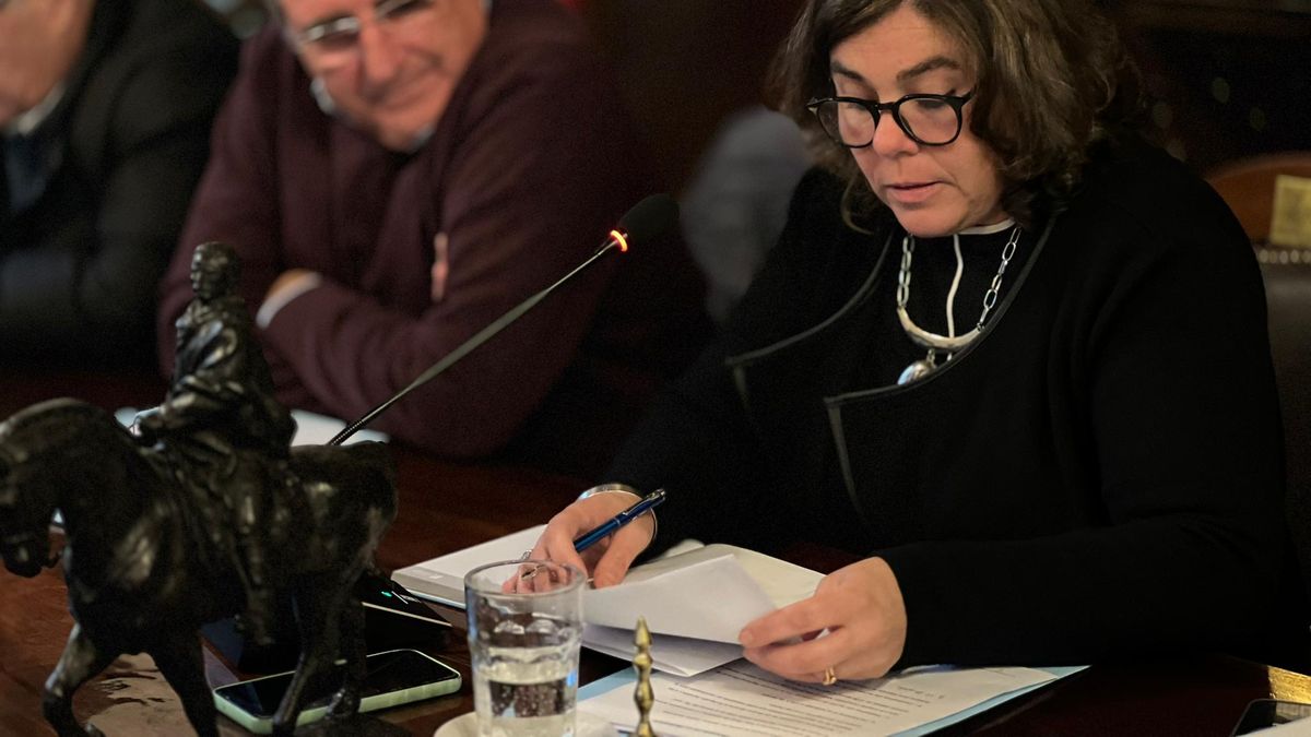 ¿Podrán usar lema del Partido Nacional Pablo y Rodolfo Caram y ...