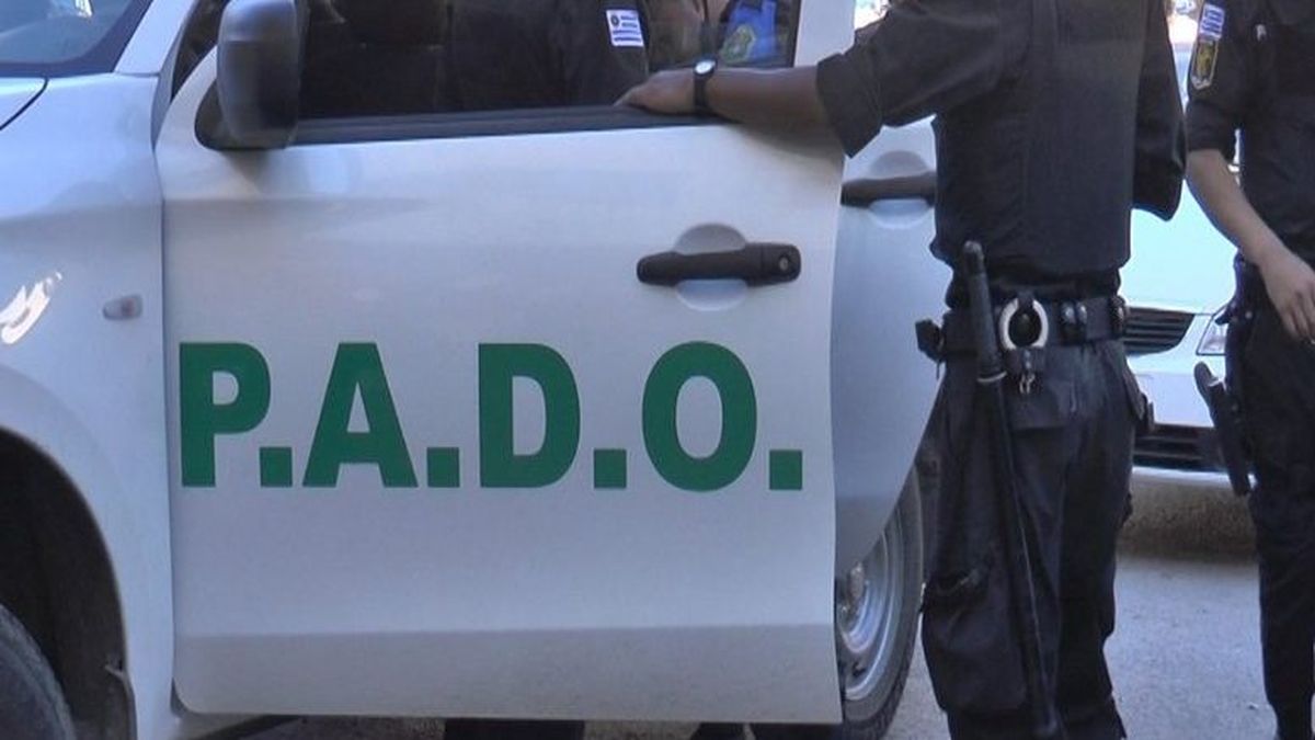 El PADO redujo un 22% las rapiñas en zonas donde se aplica