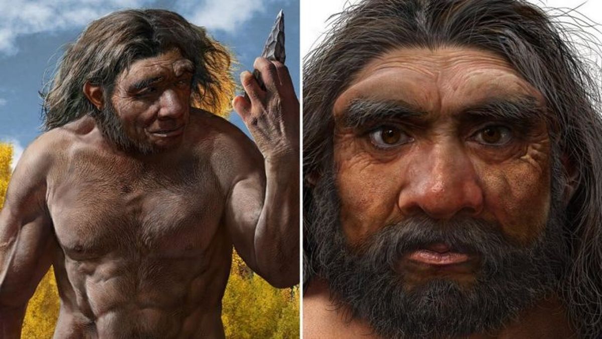 «Homo Longi», el descubrimiento de un nuevo homínido que podría ser ...