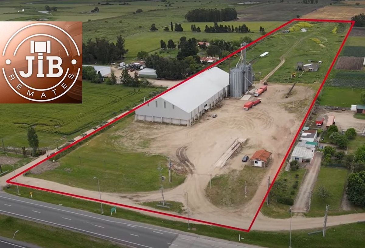 El entramado logístico, comercial y financiero detrás de Mutio