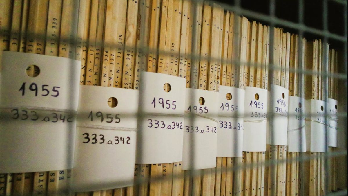 Plan Cóndor: revelan información inédita