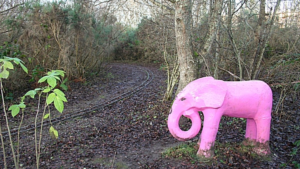 Aparecieron los elefantes rosados